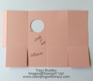 Quick and Easy Box - Stamping With Tracy