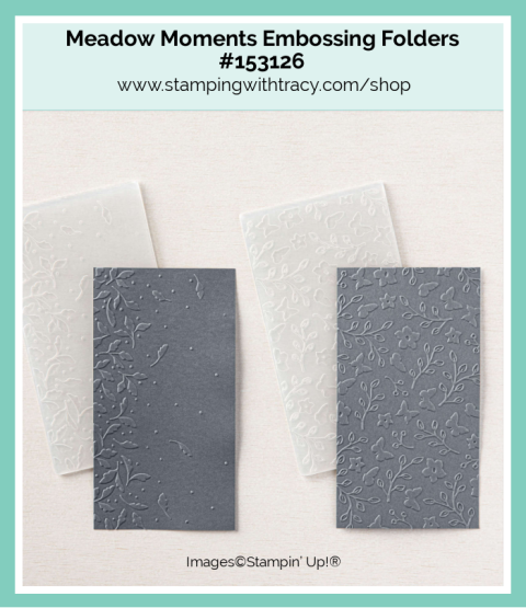 Embossing Folders Archives - Stamping With Tracy