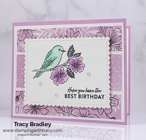 Stampin' Up! Free Friendly Hello Bundle - Stamping With Tracy
