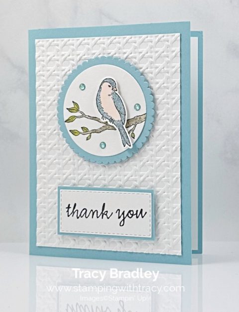 Stampin' Up! Nested Friends Bundle - Stamping With Tracy