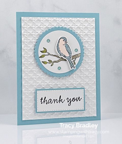Stampin' Up! Nested Friends Bundle - Stamping With Tracy