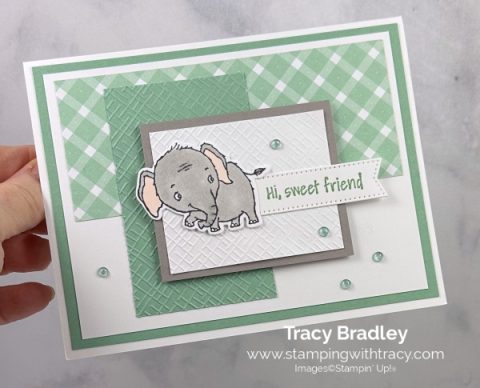Stampin' Up! Elephant Parade Bundle - Stamping With Tracy