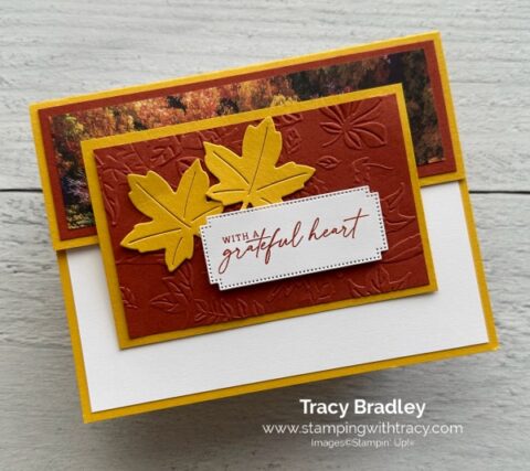 Stampin' Up! Autumn Leaves Bundle - Stamping With Tracy