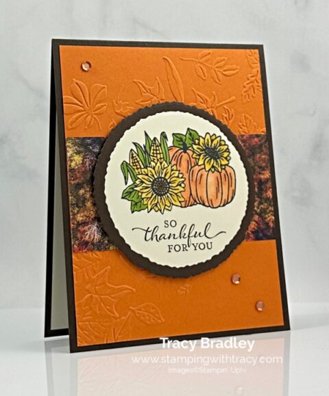 Stampin' Up! Rustic Crate Stamp Set - Stamping With Tracy