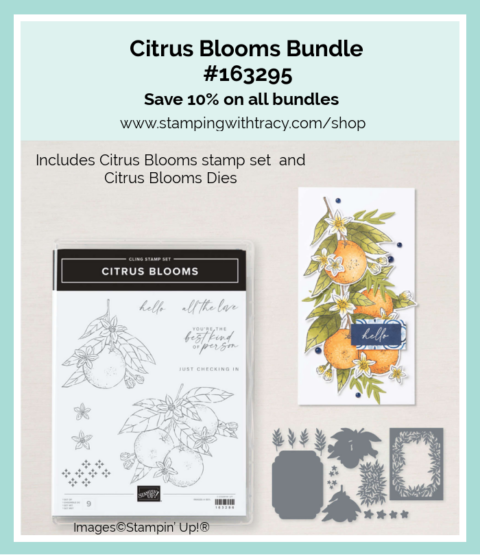 Stampin' Up! Citrus Blooms Bundle - Stamping With Tracy